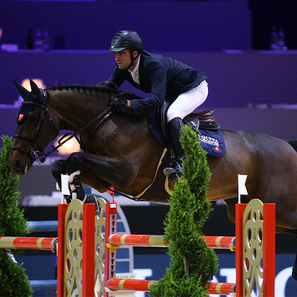 25th Equita Lyon, the 2019 equestrian show | GL events
