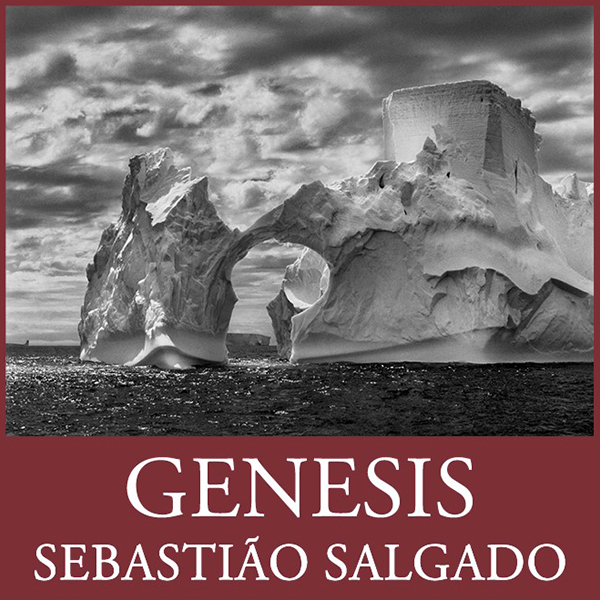 GENESIS Exhibition | GL events