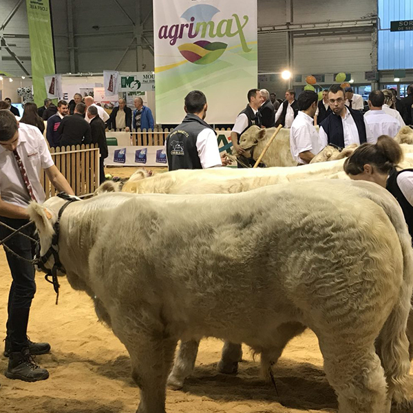 9th Agrimax Grand Est | GL events